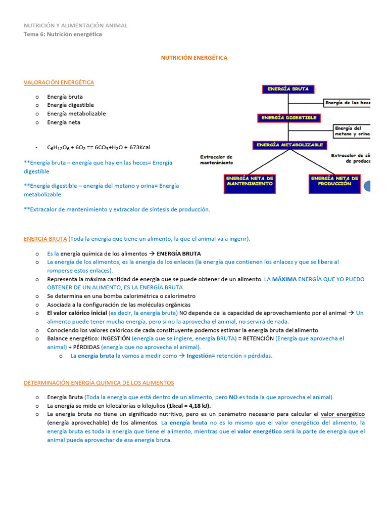 Tema 6 Nutri UCV | PDF | Energía alimentaria | Caloría