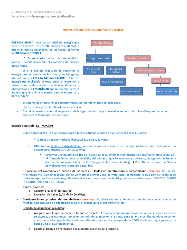 Tema 7 nutri UCV | PDF | Alimentos | Caloría