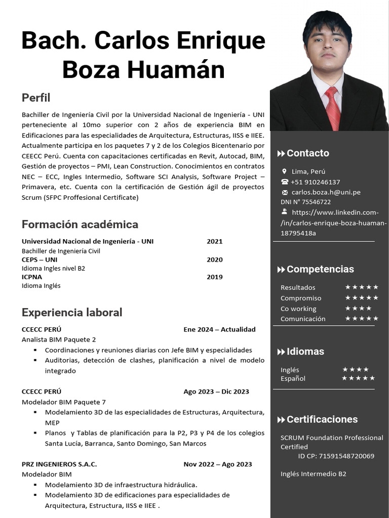 Perfil Profesional de Carlos Boza | PDF | Autodesk Revit | Microsoft Excel