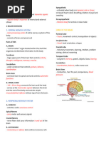 External and Internal Anatomy of The Toad | PDF | Stomach ...