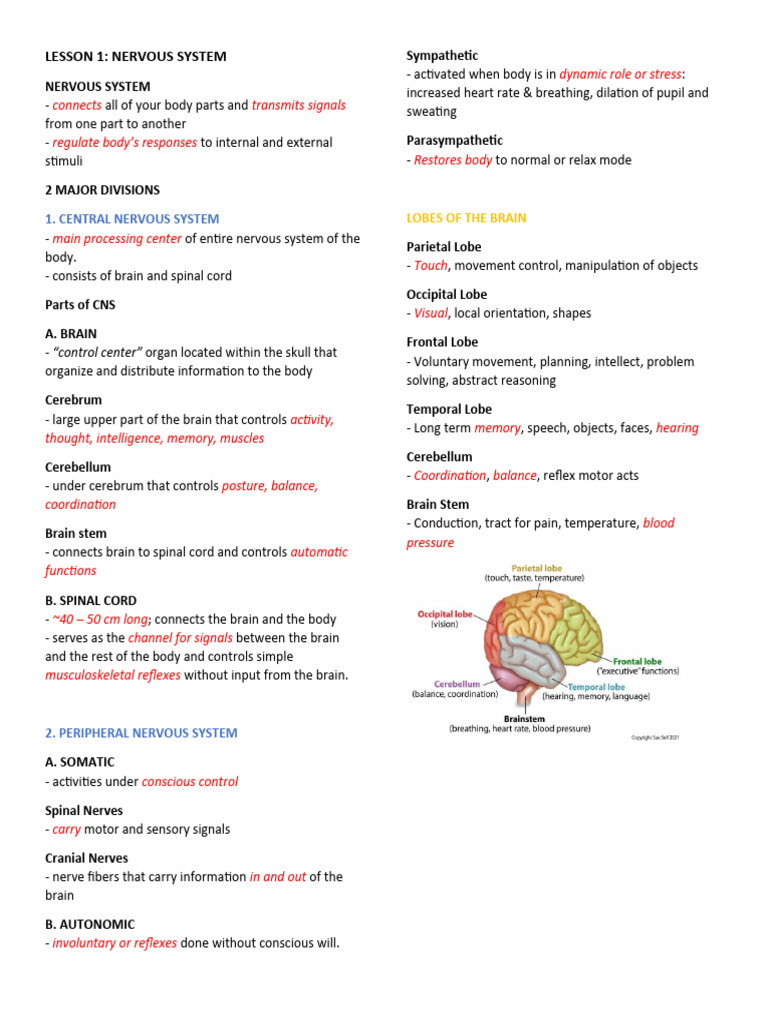 Grade 10 Science Quarter 3 Reviewer | PDF | Dna | Rna
