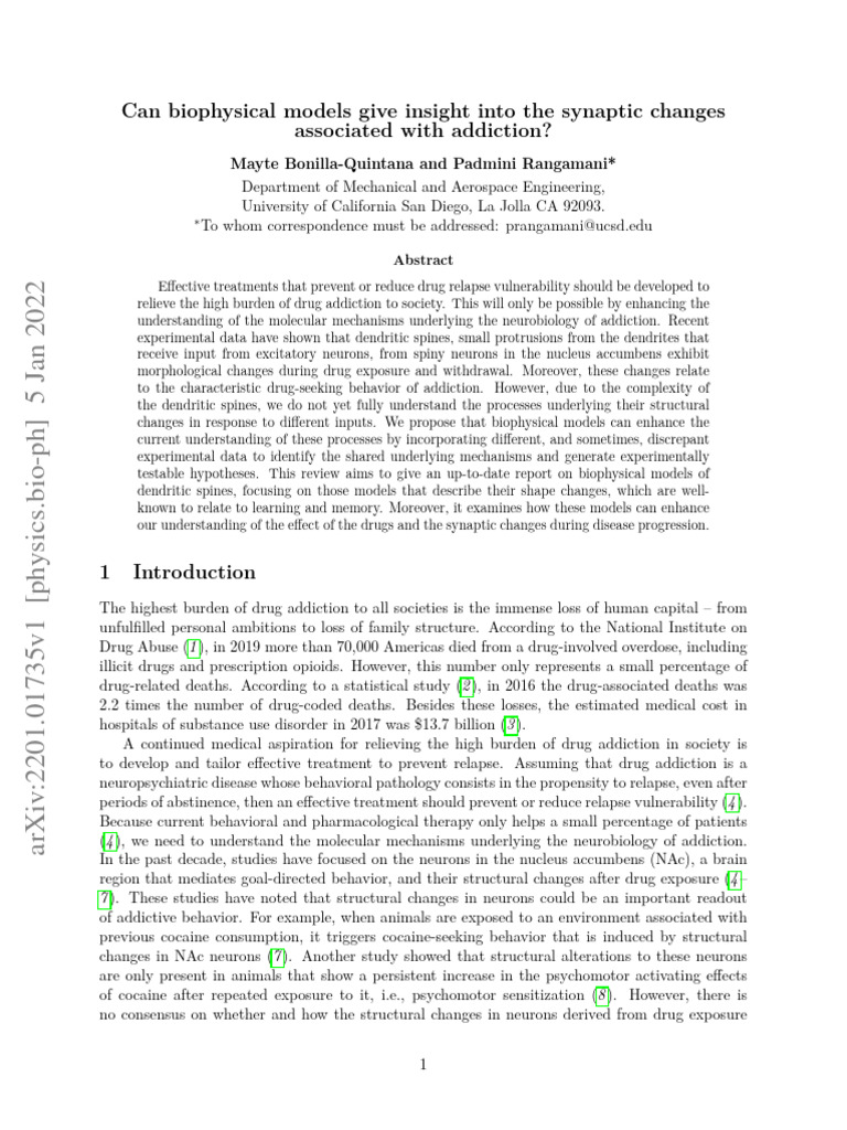 Can Biophysical Models Give Insight Into The Synaptic Changes Associated With Addiction? | PDF ...