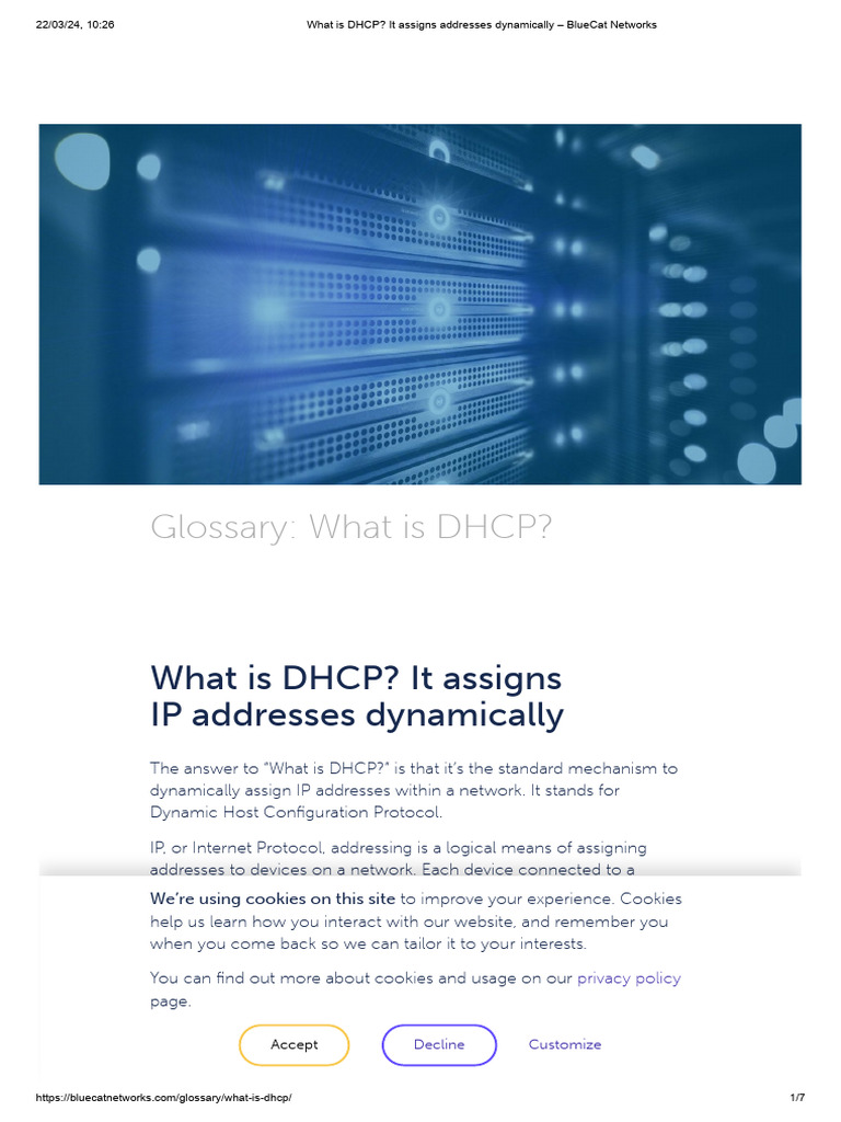 What Is DHCP - It Assigns Addresses Dynamically - BlueCat Networks | PDF | Ip Address | Computer ...