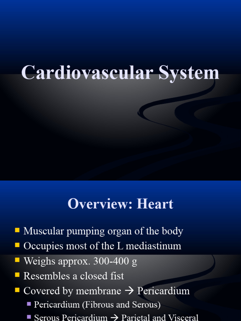 Cardiovascular System | PDF | Heart | Anemia