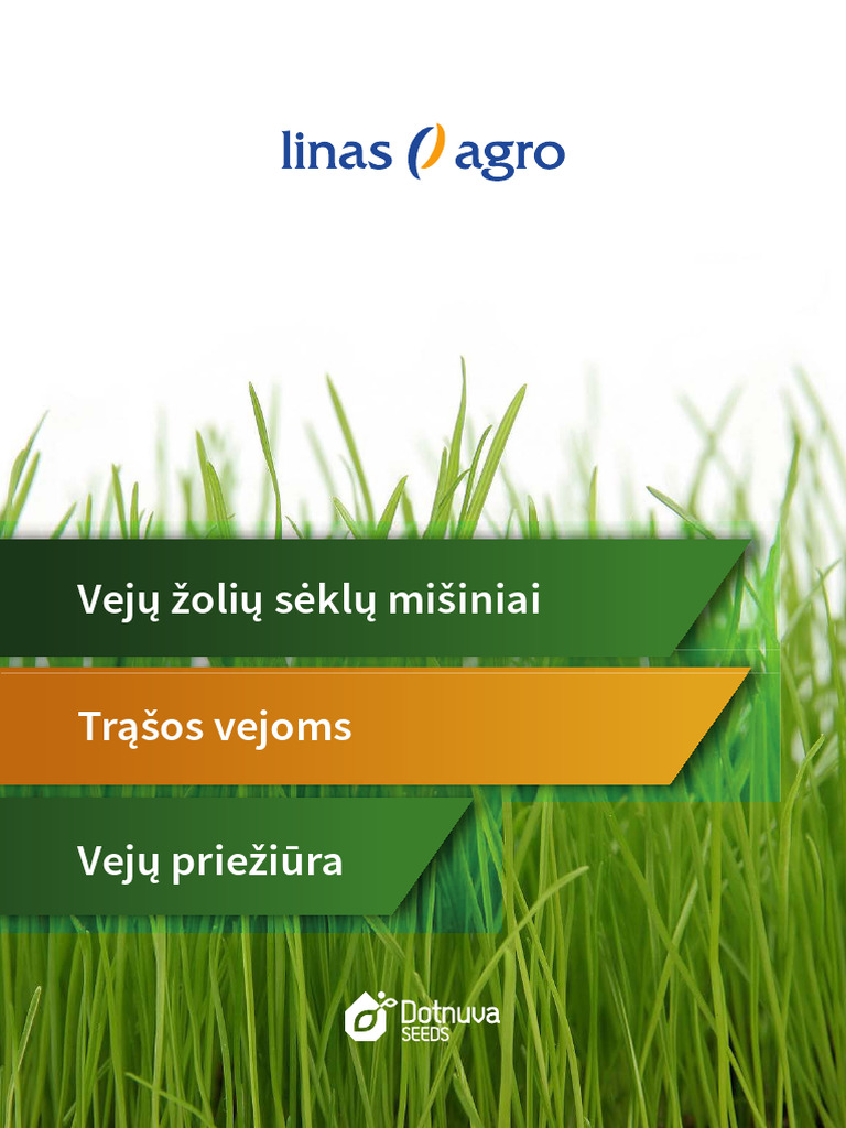 Vejos - Bukletas Web 2020-cktSKfzyf0QT9YllJxune2rZKuSt0Xe7 | PDF
