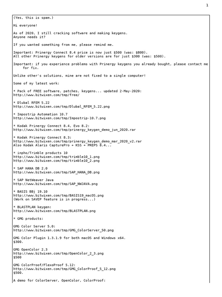 Software Cracking | PDF