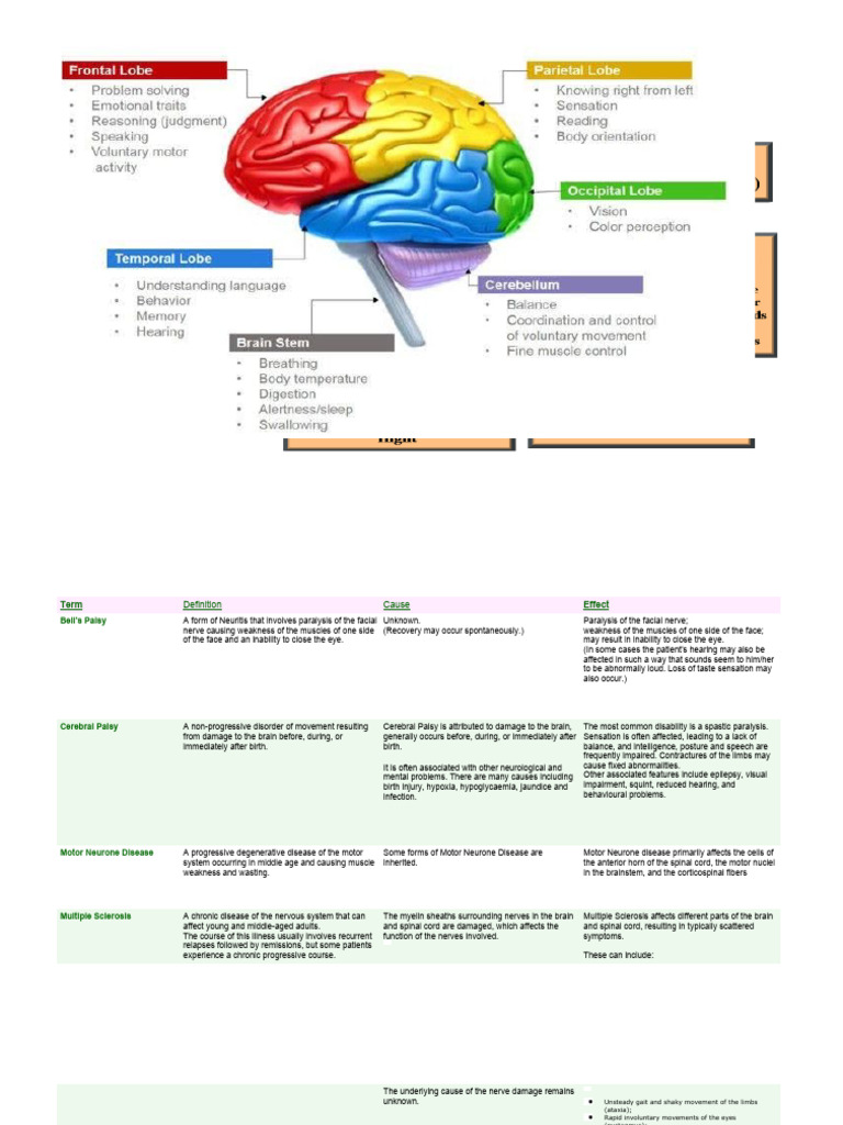 Chart NS | Download Free PDF | Cerebral Palsy | Neurology