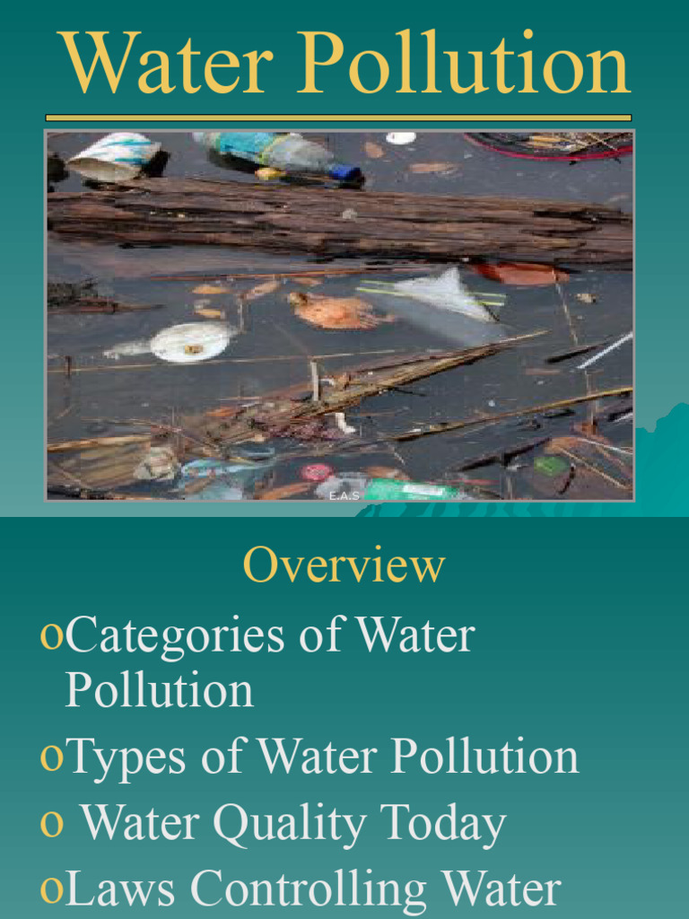 C1. Water Pollution Final | PDF | Water Pollution | Eutrophication