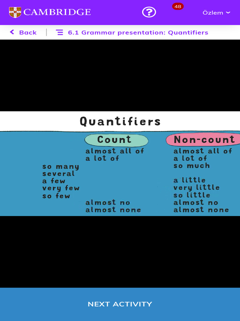 Quantifiers Grammar Video Guide | PDF