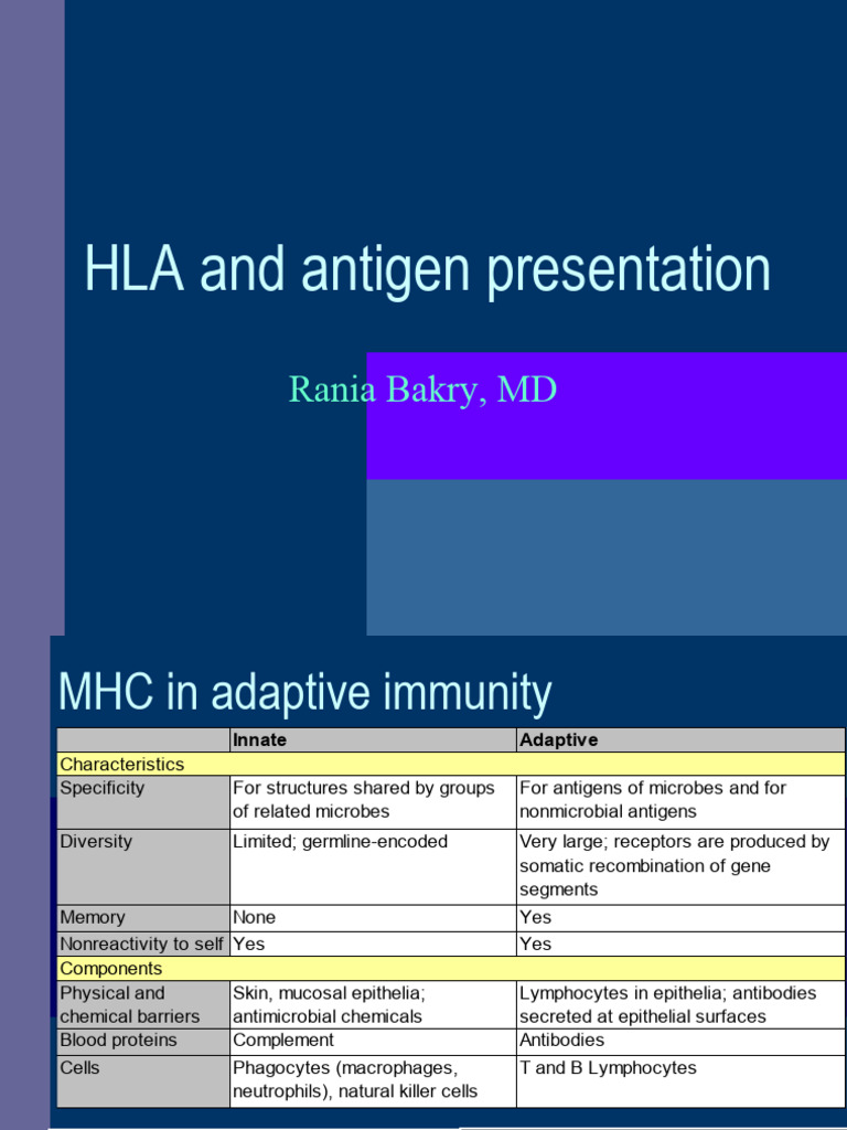 HLA and Antigen Presentation: Rania Bakry, MD | Download Free PDF ...