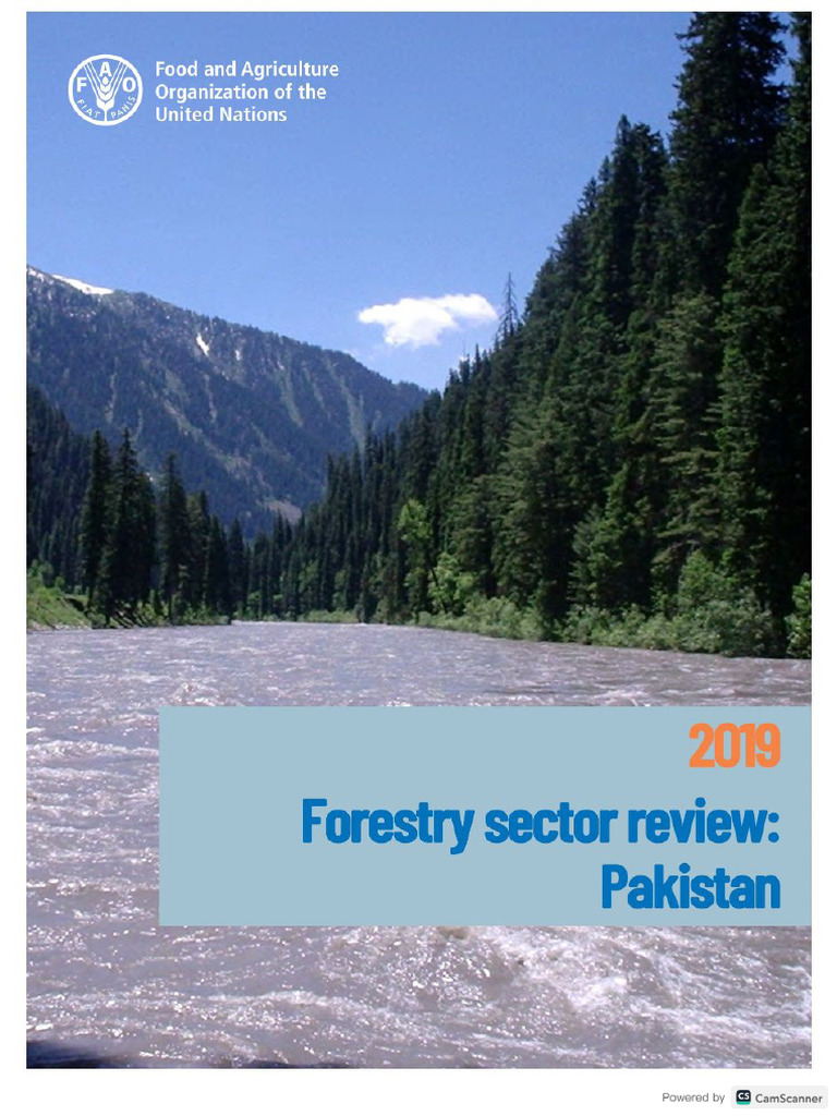 Forestry Sector Review of Pakistan | PDF