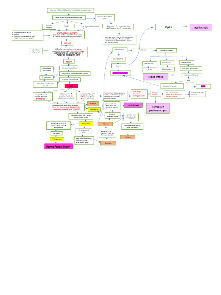 Pathoflow DM Type 2 | PDF