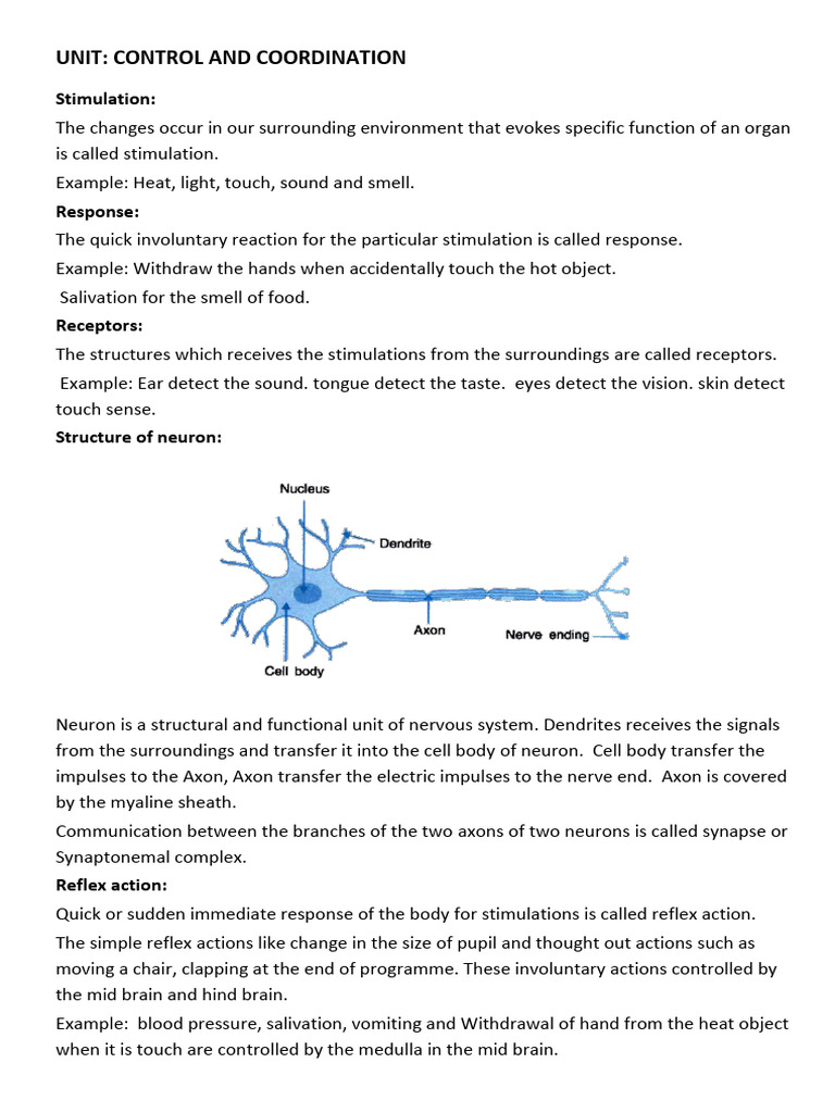Control and Coordination in Organisms | PDF | Central Nervous System ...