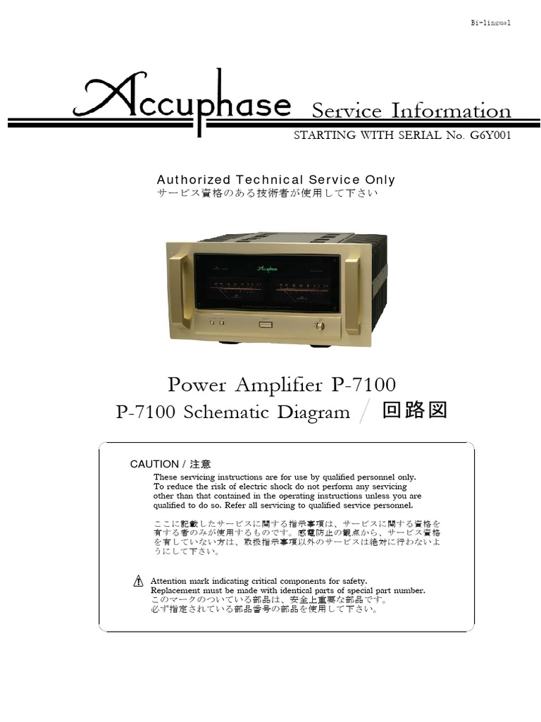 Accuphase P7100 PWR SM | PDF