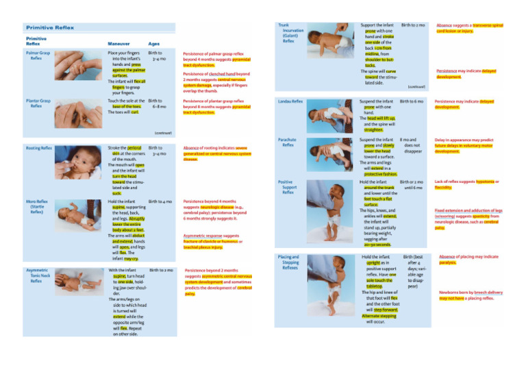 Primitive Reflexes | PDF