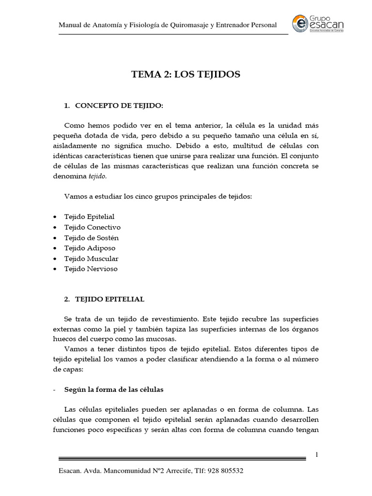 Manual Anatomía Tema 2 Los Tejidos Pdf Músculo Tejido Conectivo