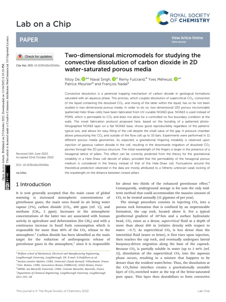 2D Micromodels for CO2 Dissolution Study | PDF | Carbon Dioxide ...