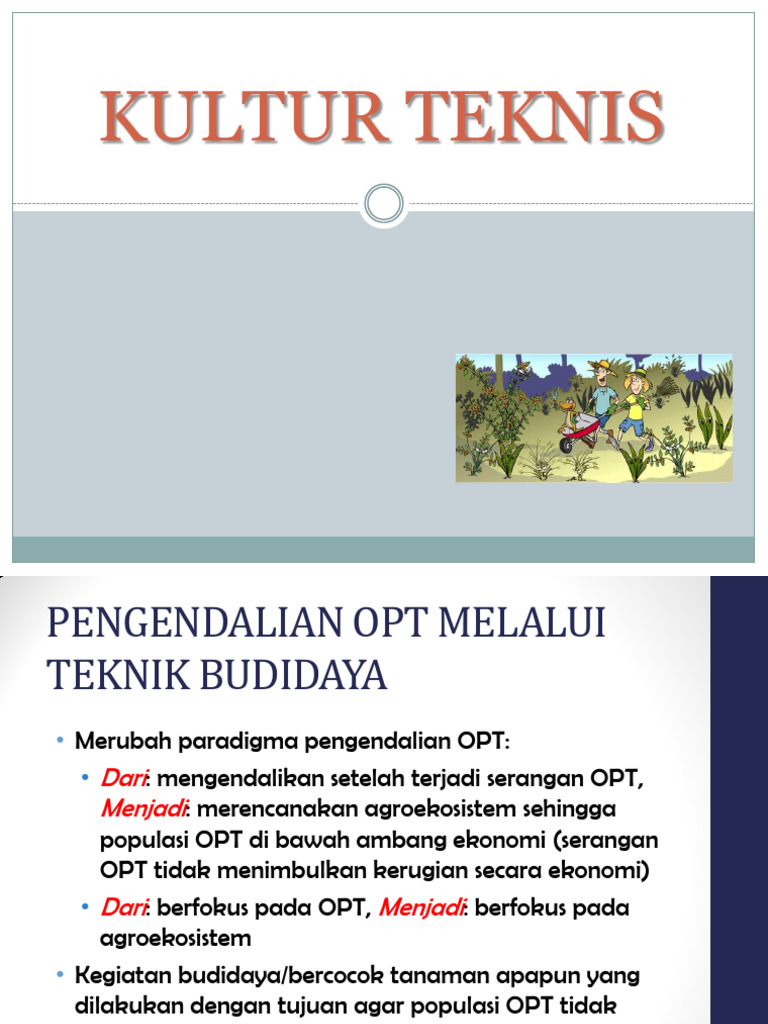 Teknik Budidaya untuk Pengendalian OPT | PDF