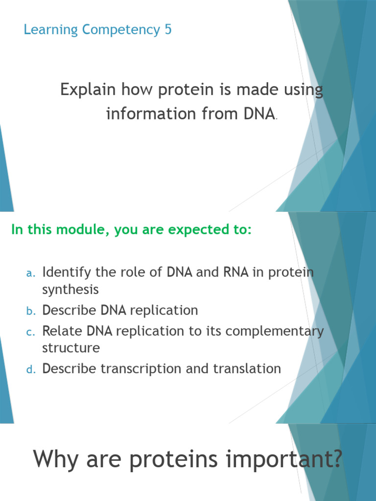 DNA's Role in Protein Synthesis Explained | PDF | Dna | Rna
