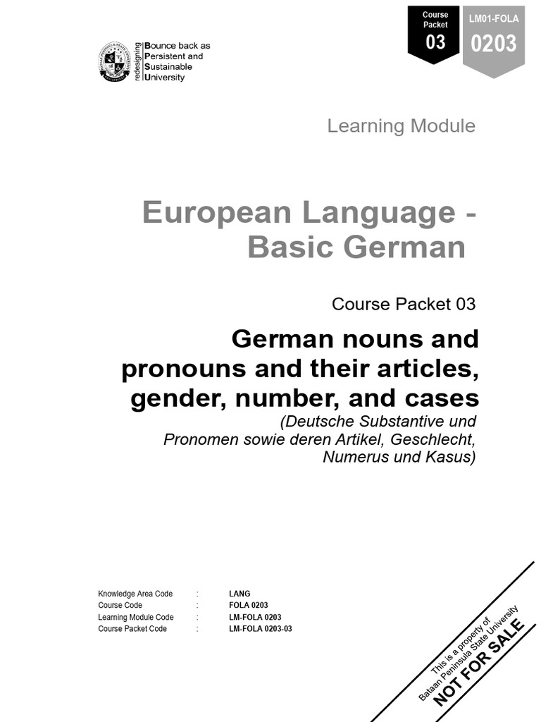German Nouns and Pronouns Overview | PDF | Grammatical Gender | English ...