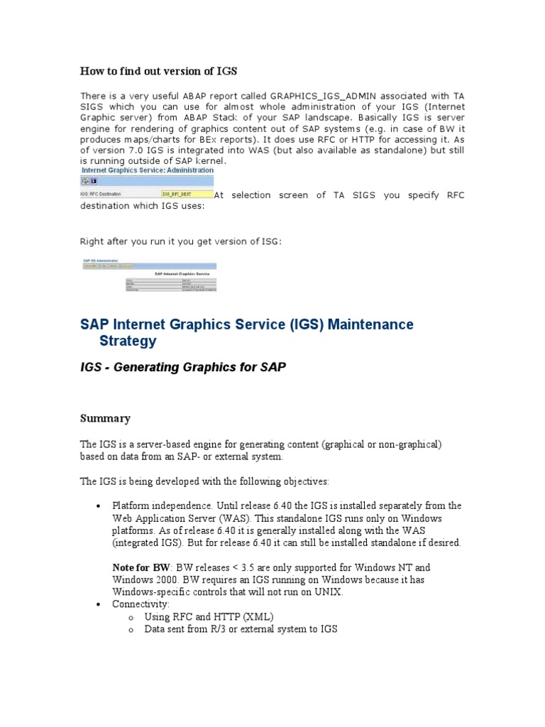 Checking SAP IGS Version Guide | PDF | Business
