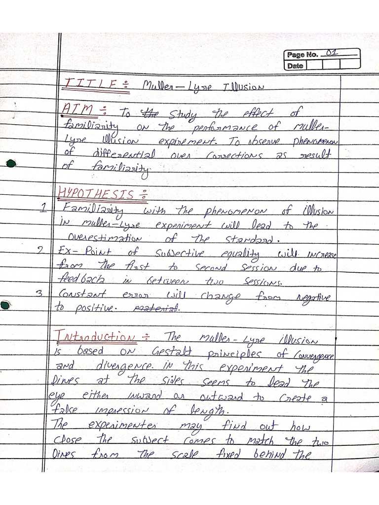 Muller Lyer Illusion Practical File Igno | PDF