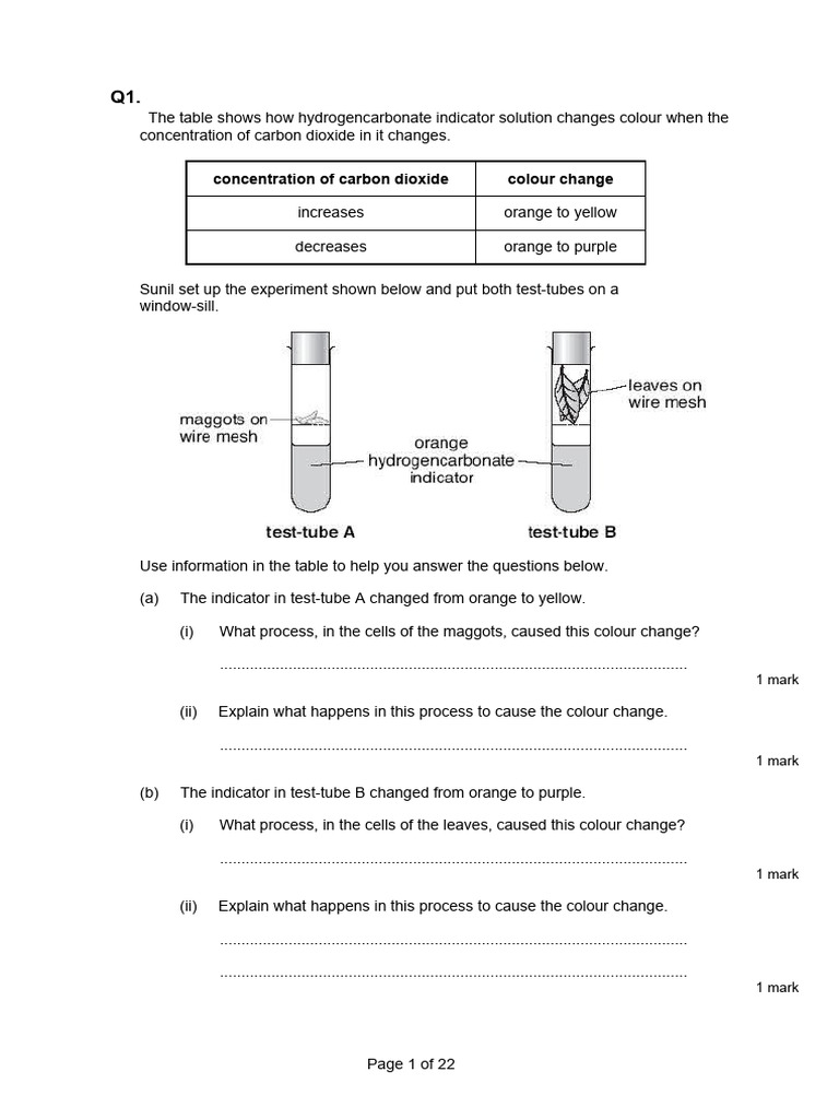 Hydrogen Carbonate Indicator Color Changes | PDF | Plants | Photosynthesis