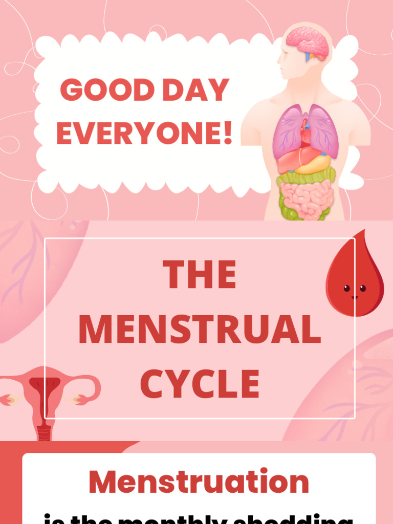 The Menstrual Cycle | PDF | Menstrual Cycle | Women's Health