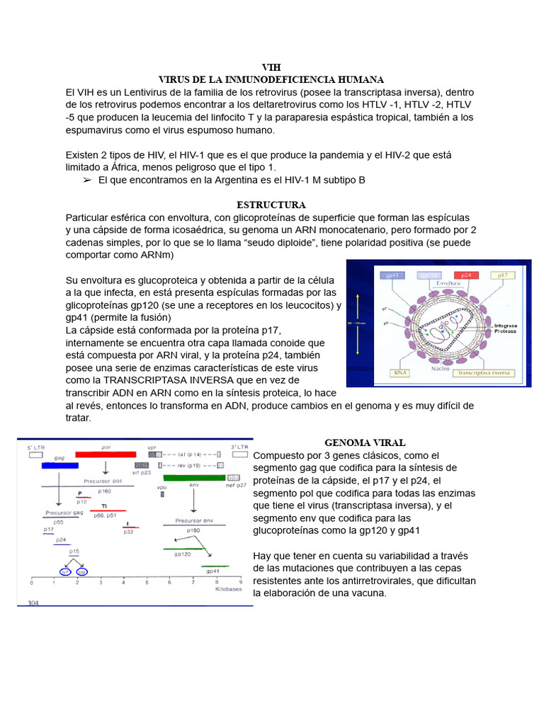 VIH: Estructura, Diagnóstico y Manifestaciones | PDF | VIH | Retrovirus