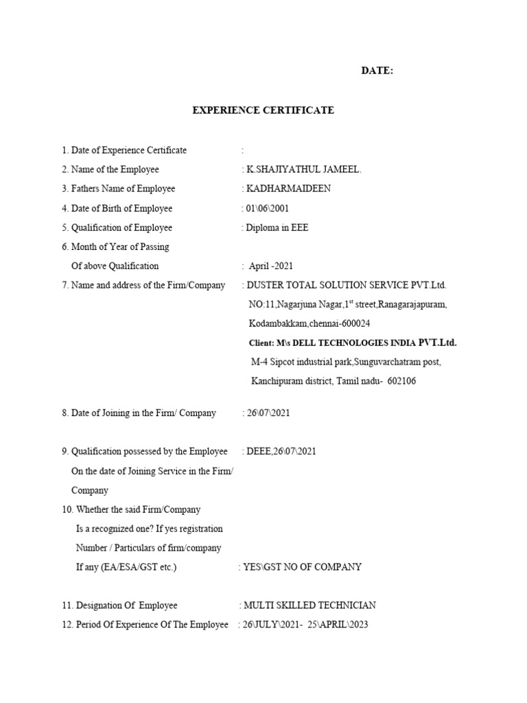 Experience Format-2 | PDF