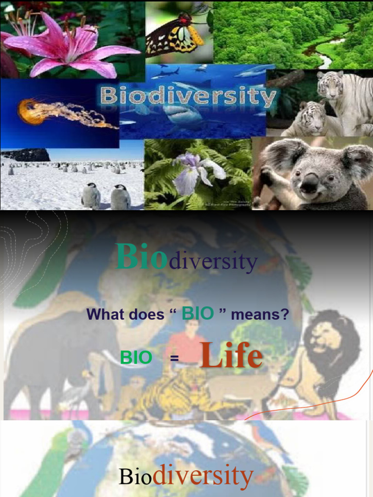 Importance of Biodiversity | PDF | Biodiversity | Ecosystem