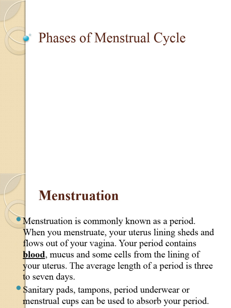 Phases-of-Menstrual-Cycle | PDF