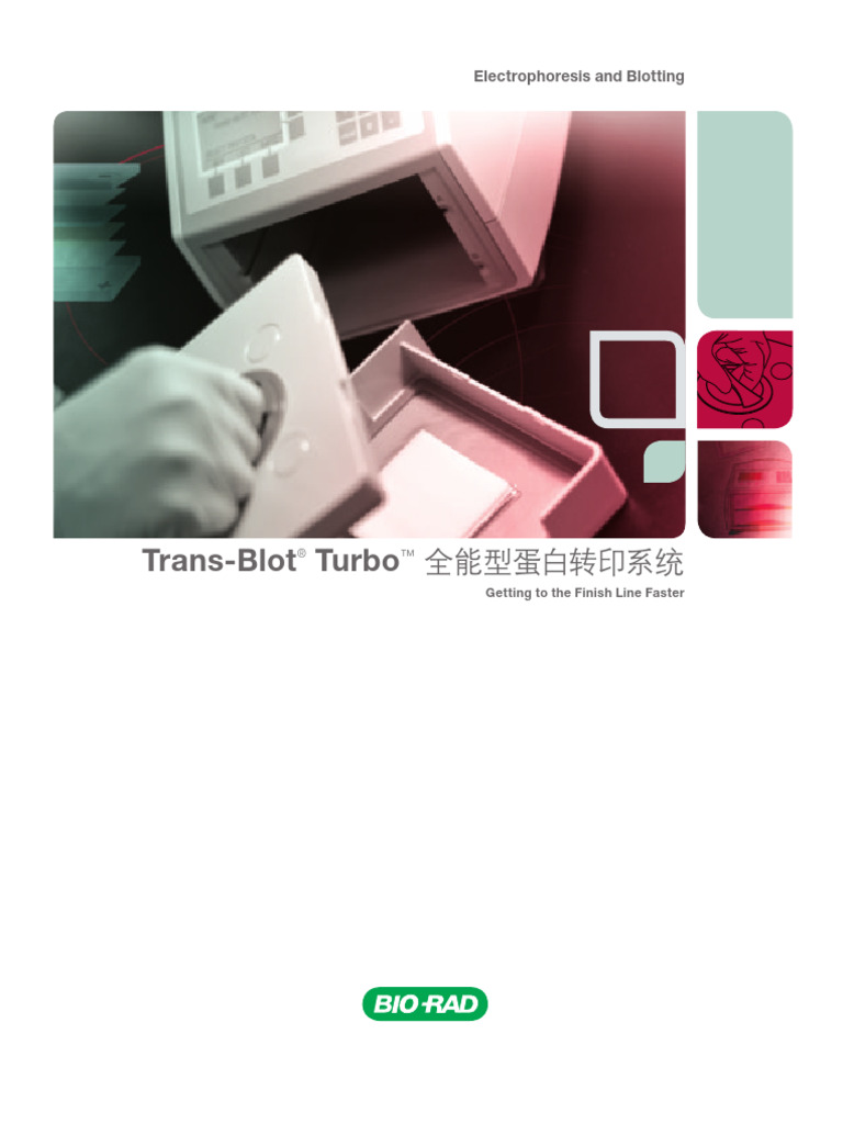 11-149 - Trans-Blot Turbo全能型蛋白转印系统 - China | PDF | Blot (Biology ...