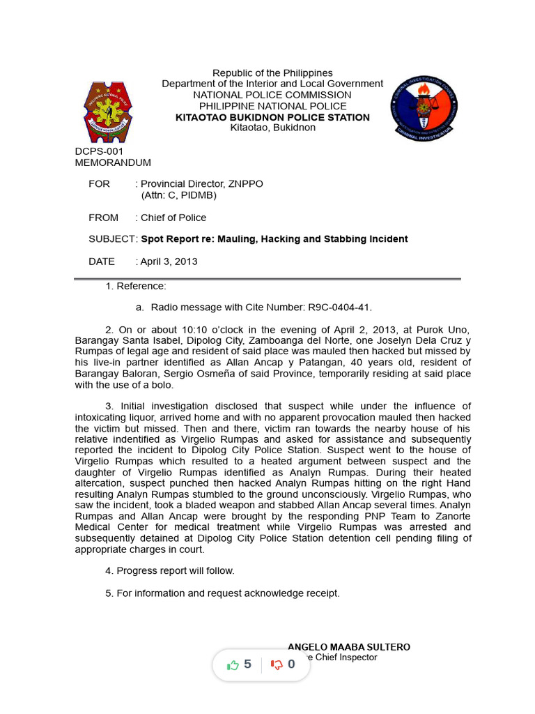 Spot Report Progress Report and Final Report Docx - Compress | PDF ...