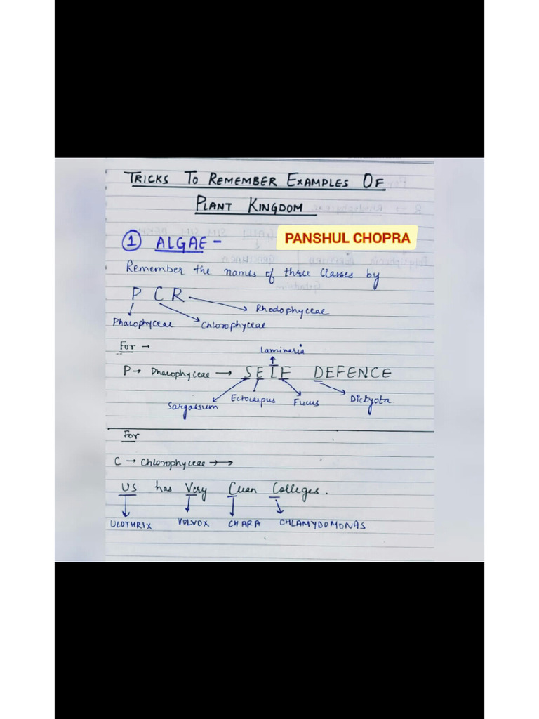 NCERT Examples of PLANT KINGDOM | PDF