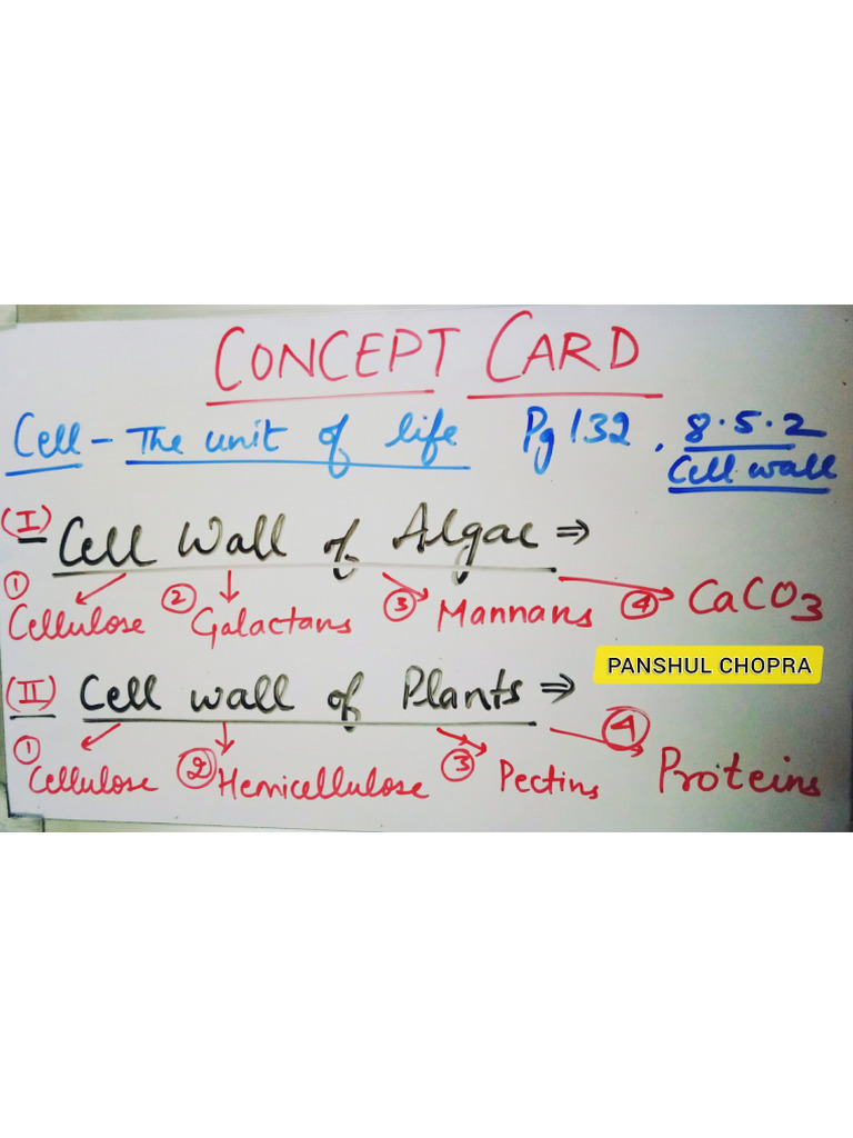 Concept Cards - Important NCERT One Liners | PDF