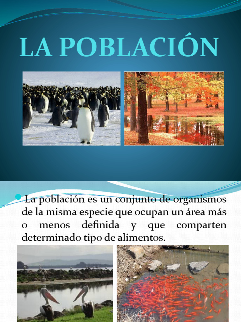 La Poblaciòn 2 | PDF