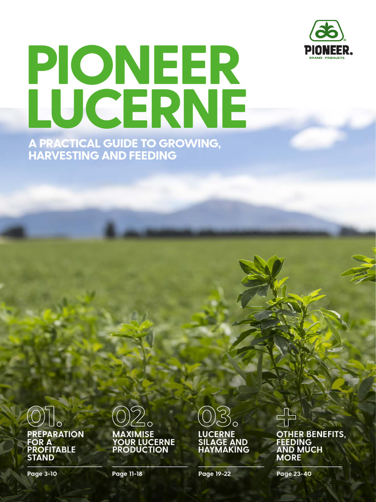PIO143 Lucerne Manual Refresh v6 | PDF | Alfalfa | Plant Nutrition