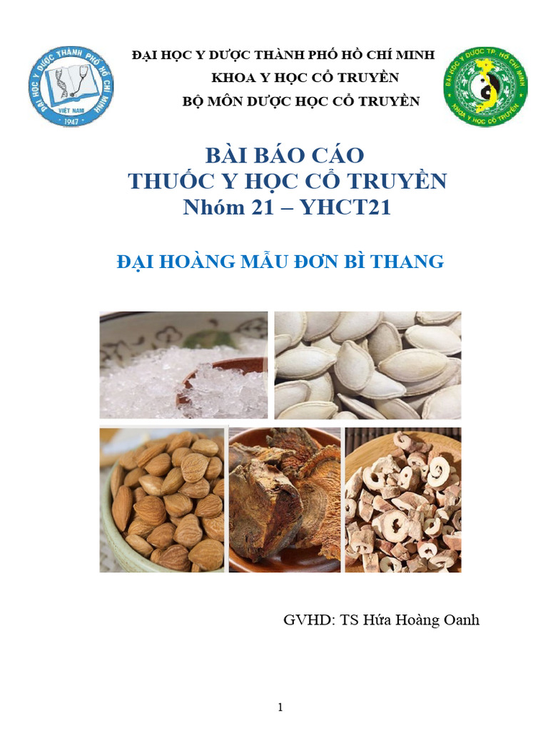 BÁO-CÁO-ĐẠI-HOÀNG-MẪU-ĐƠN-BÌ-THANG-NHÓM-21 | PDF