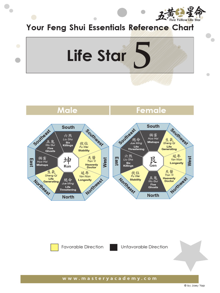 9lifestar 5yellow | PDF