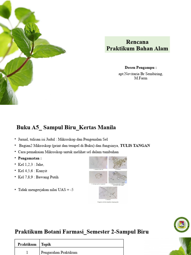 Praktikum Bahan Alam | PDF