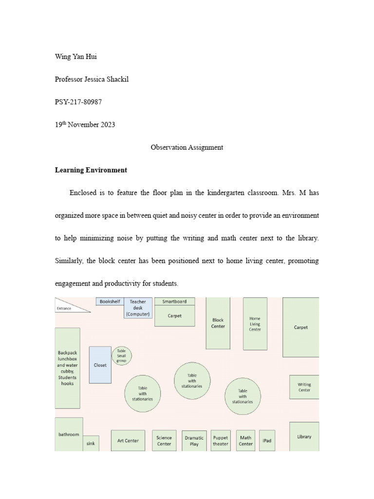 Psy Observation Assignment | PDF | Information | Classroom
