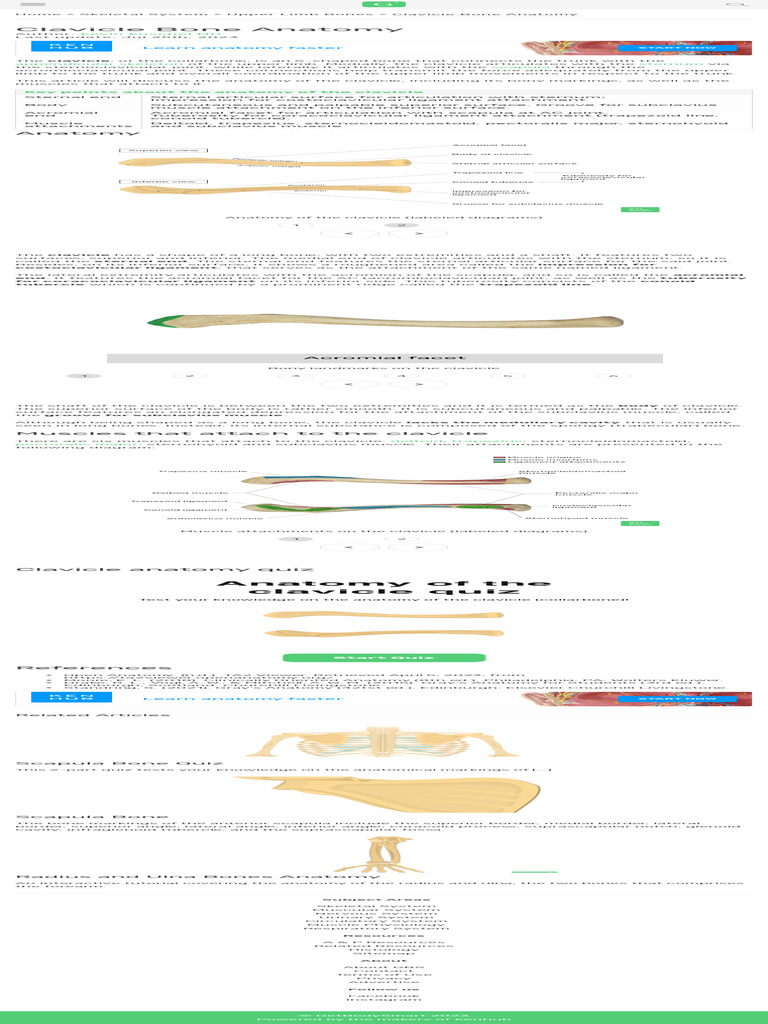 Clavicle Anatomy, Diagram, Quiz GetBodySmart | PDF