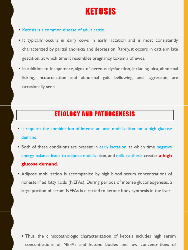 Metabolic Diseases 1 | PDF | Ketosis