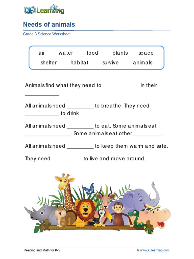 Grade 3 Basic Needs C | PDF