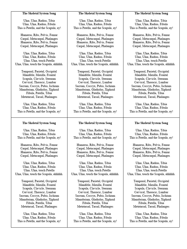 Skeletal System Song & Quiz | PDF | Pelvis | Anatomy