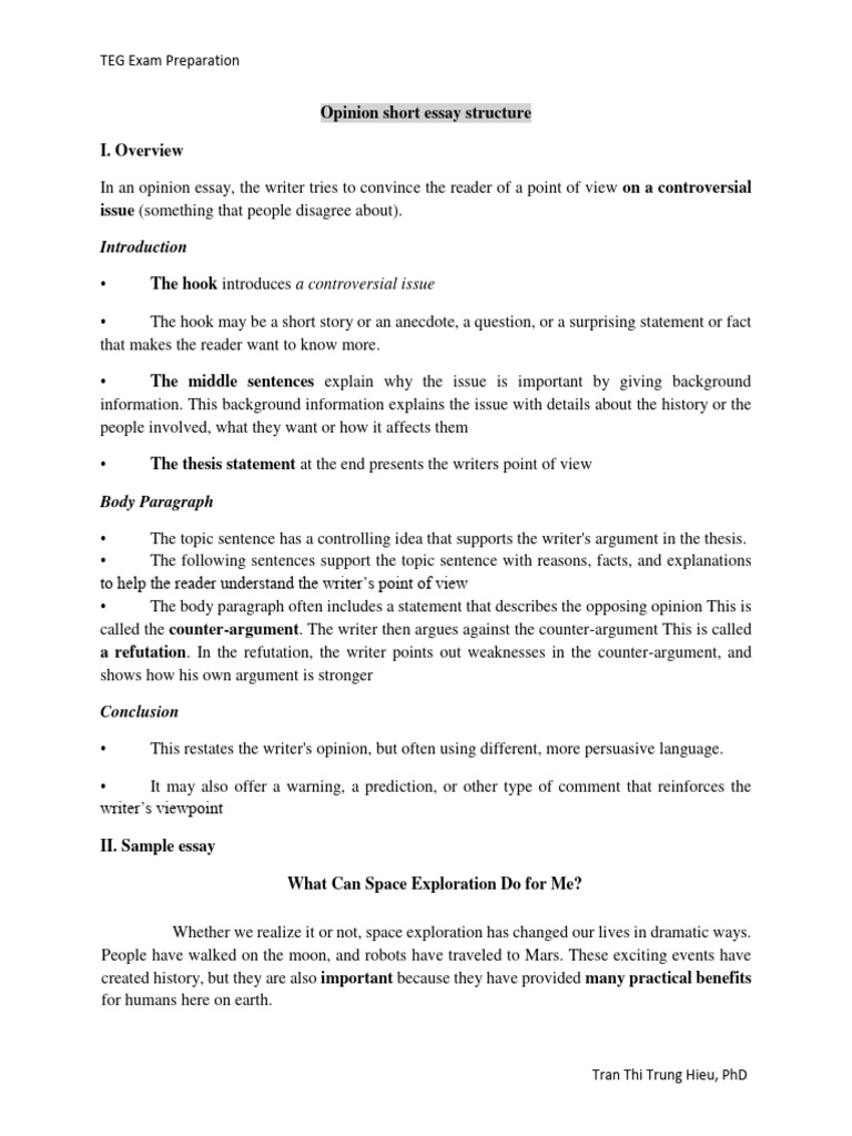 Opinion Essay Structure Guide | PDF