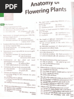 Human Skeleton All Bones Chart | PDF | Anatomy | Musculoskeletal System