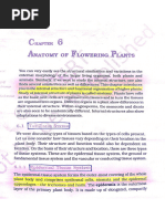 Human Skeleton All Bones Chart | PDF | Anatomy | Musculoskeletal System