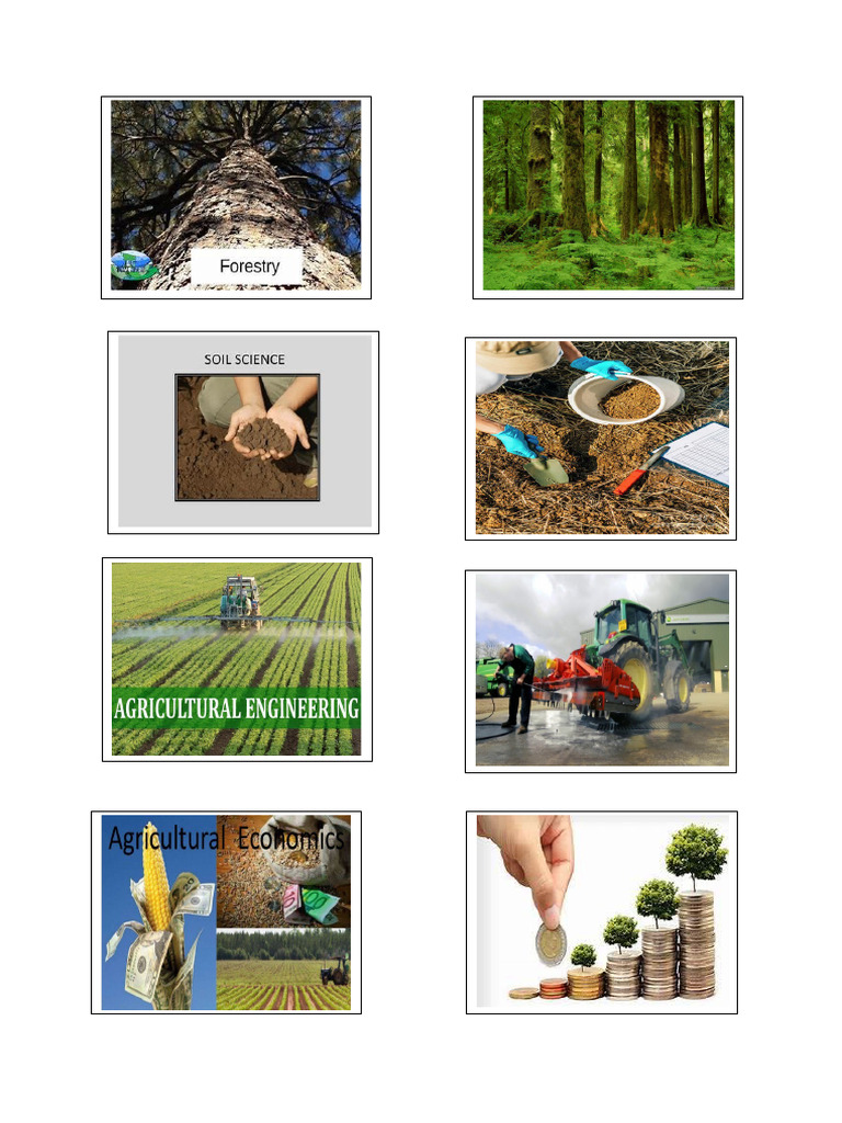 Branches of Agric | PDF